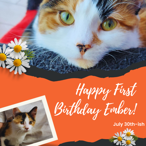 An Ember Birthday Photodump (belated)