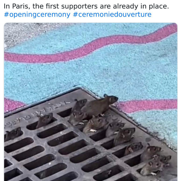 Summer Olympics Memes The Best Memes From The 2024 Paris Olympics
