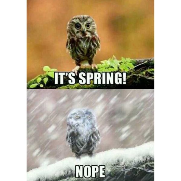 10 funny memes about the 4 seasons: Nature’s mood swings