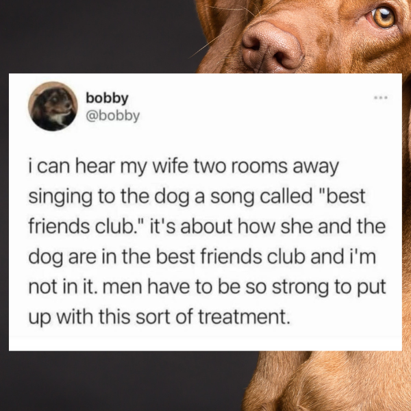 bone of contention